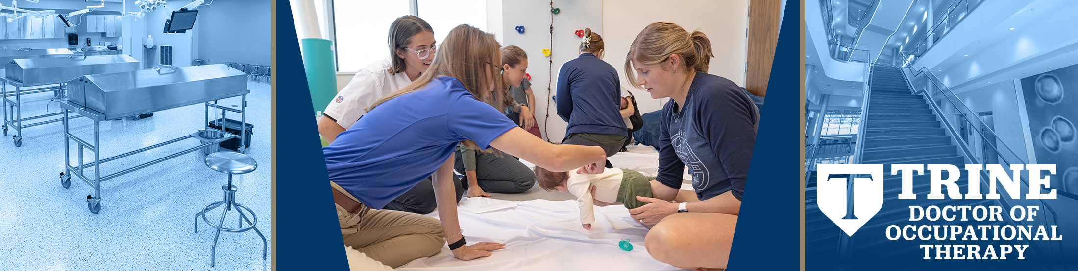 Doctor of Occupational Therapy Program Overview